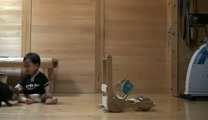Cat Teaches Baby to Walk! So Cute - Cute Videos