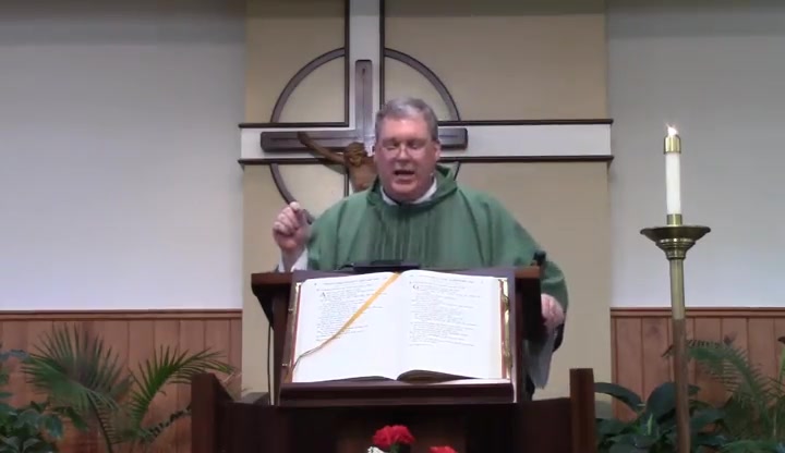Homily - 23rd Sunday of Ordinary Time - Fr. Steve Roberts