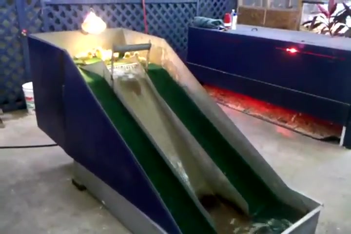 Baby Ducks Play Like You've Never Seen Them - So Cute!