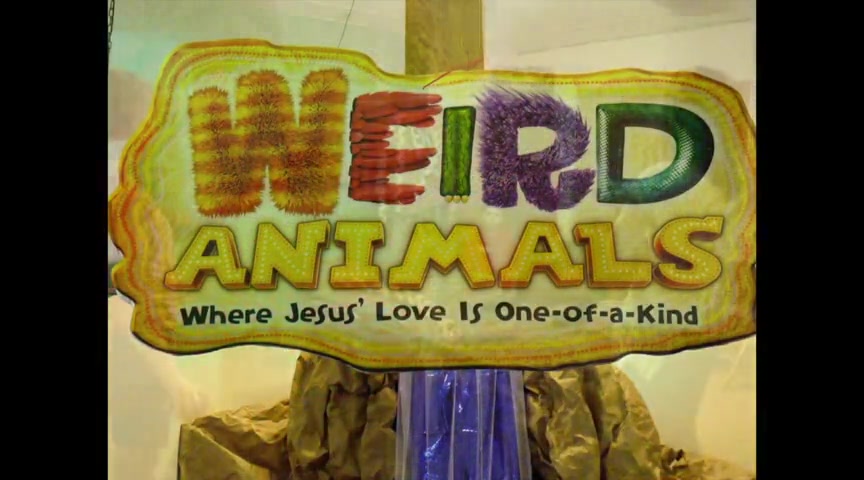 Weird Animals Vbs