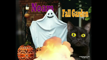 Bindi Irwin Says It's 'Devastating' Raising Newborn Without Her Father ...