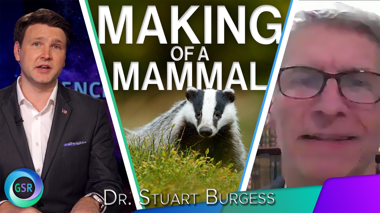 Making Of A Mammal Dr. Stuart Burgess & David Rives on Genesis Science ...