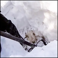 Farmer & Dog Rescue Sheep Buried Alive Under Snow for 3 Days - What a ...