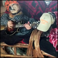 Have You Ever Seen 2 Dogs Play Banjos? LOL, This is Great!