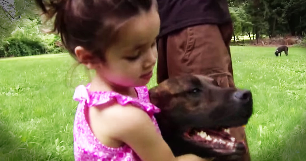 When This Toddler Spotted Something TERRIFYING, These Rescue Dogs Leapt ...