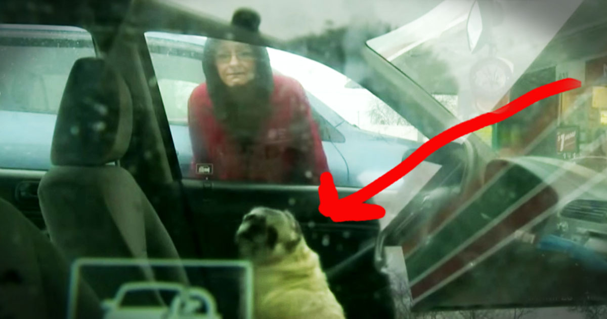 She Totally Broke Down In A 7 11 Parking Lot Until A Total Stranger