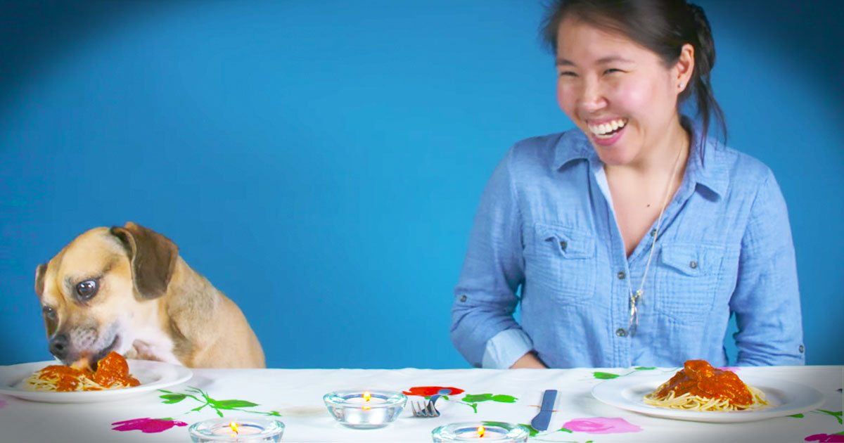 These Pups Are Sharing A Meal With Their Humans. And It's Almost Too ...