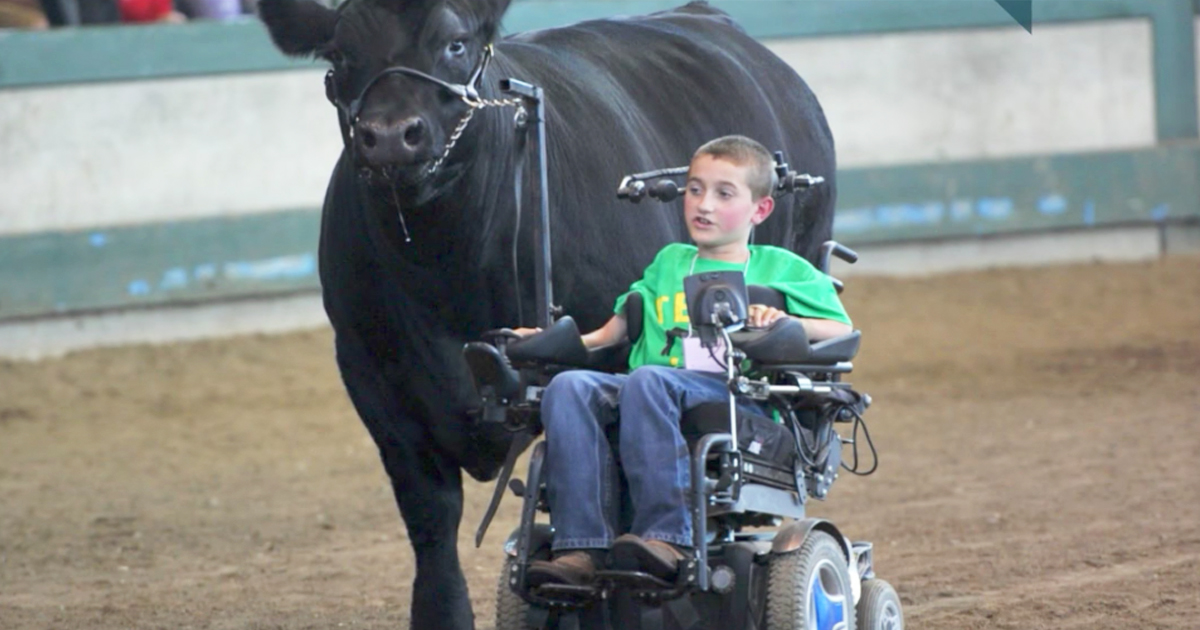 Despite Being Paralyzed, 10-Year-Old 'Cow Whisperer' Bravely Leads His ...