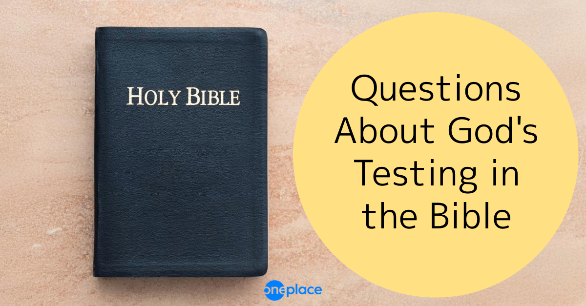 02/10/2025 - Listen to The Narrow Path with Steve Gregg, Feb 10, 2025 ...