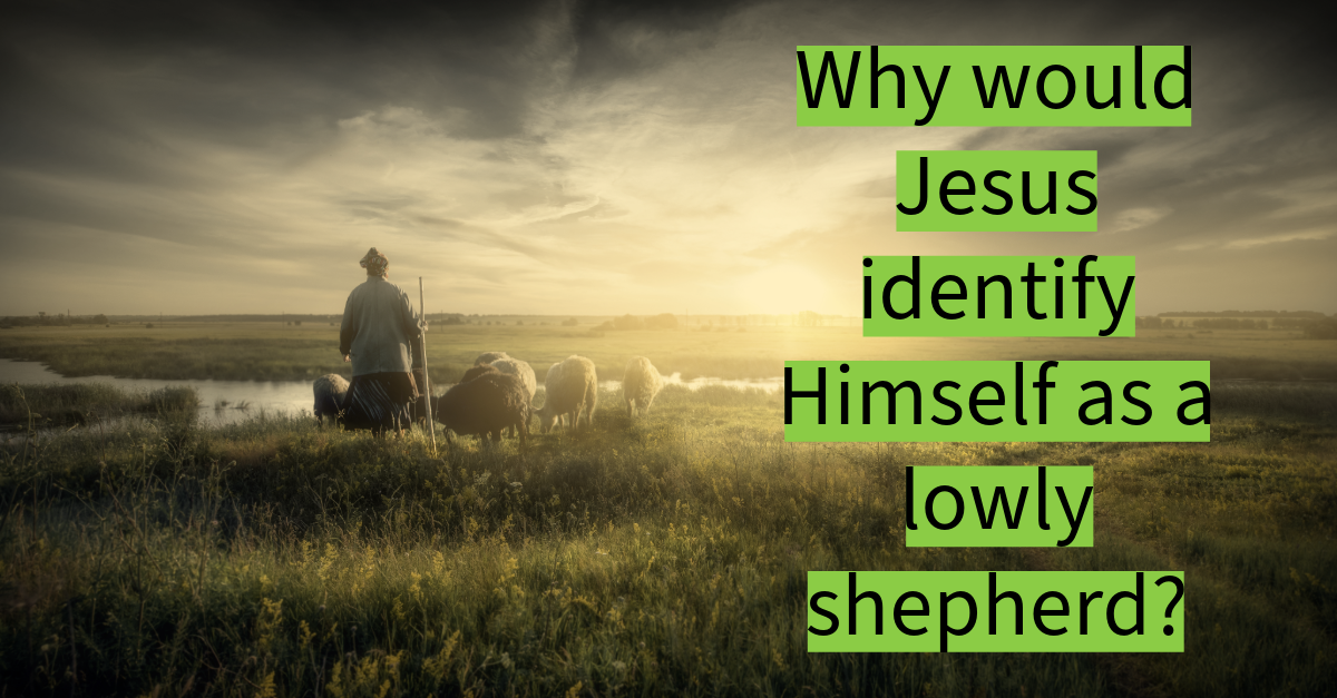 I AM the Good Shepherd, Part 1 - Listen to Turning Point with Dr. David ...